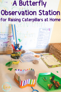 Raising Butterflies with Kids: Setting Up an Observation Station ...