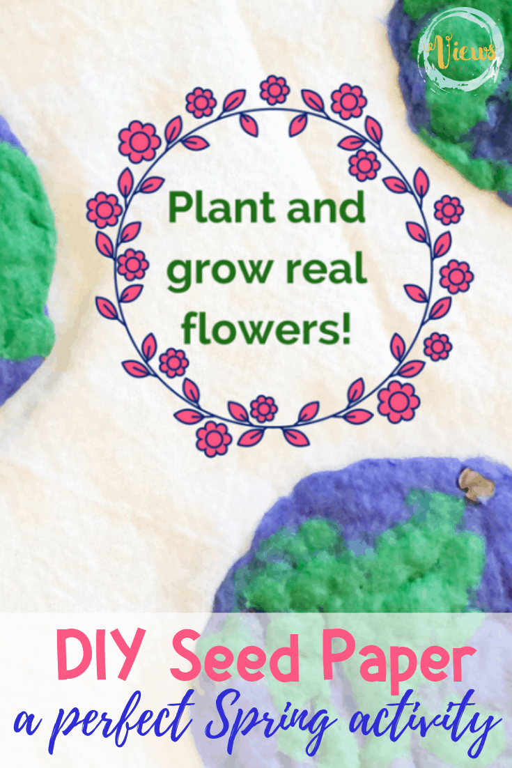 Homemade Seed Paper Kids Can Plant - Views From a Step Stool