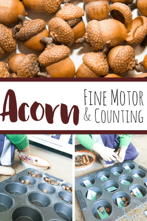 Acorn Fine Motor and Counting - Views From a Step Stool