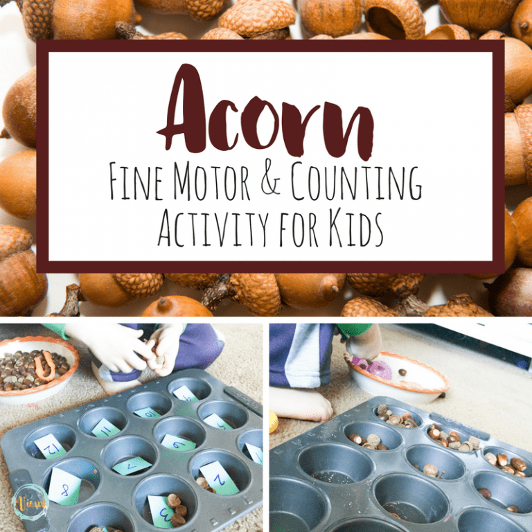 Acorn Fine Motor and Counting - Views From a Step Stool