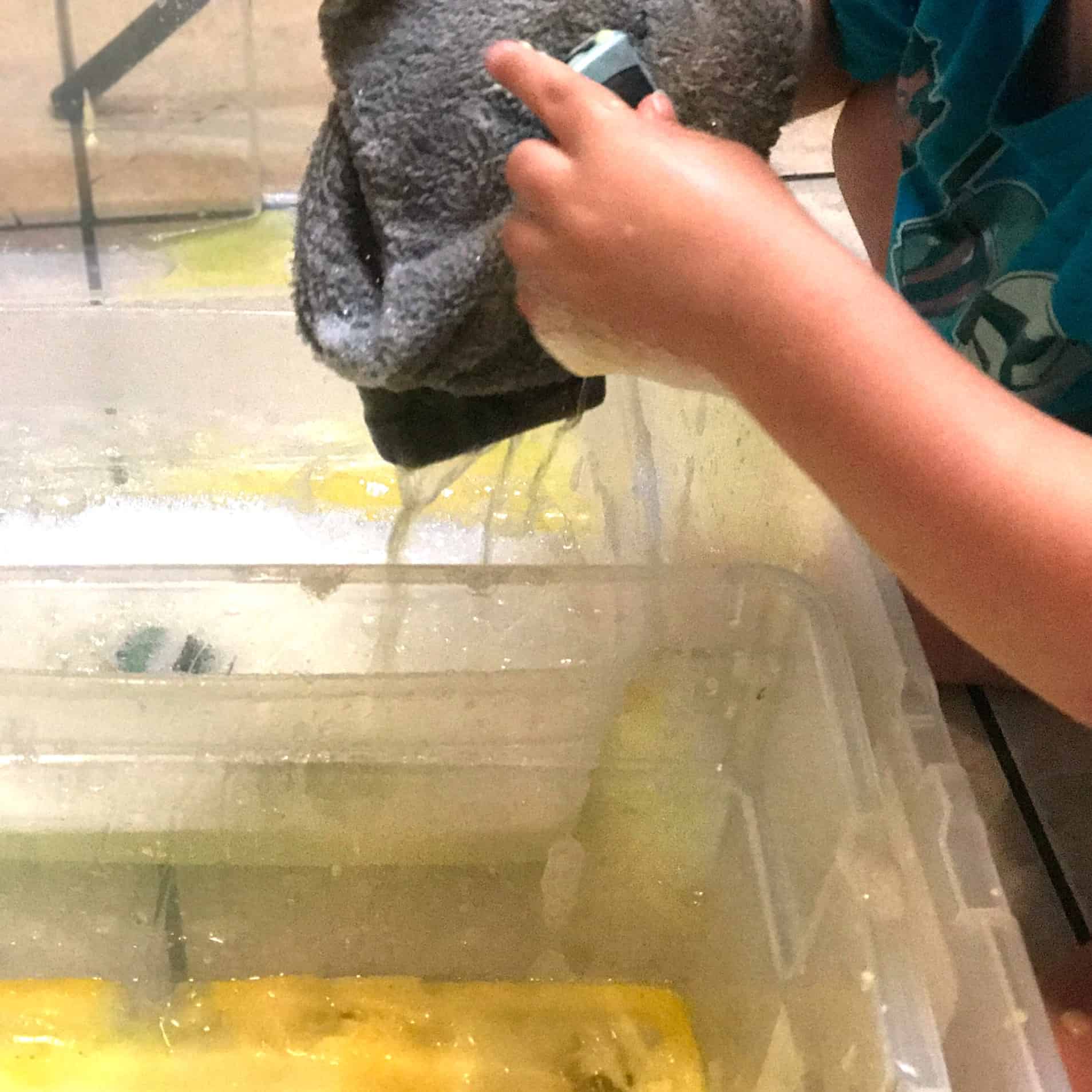 Erupting Kids Car Wash: Simple Science for Toddlers