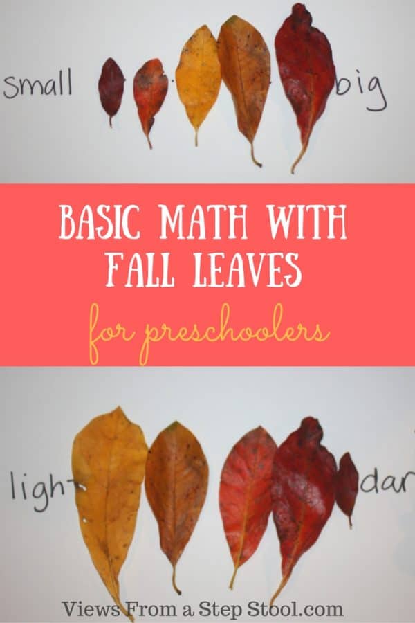 Basic Preschool Math with Fall Leaves - Views From a Step Stool