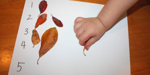 Basic Preschool Math with Fall Leaves - Views From a Step Stool