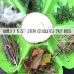 Build a Nest STEM Challenge for Kids - Views From a Step Stool