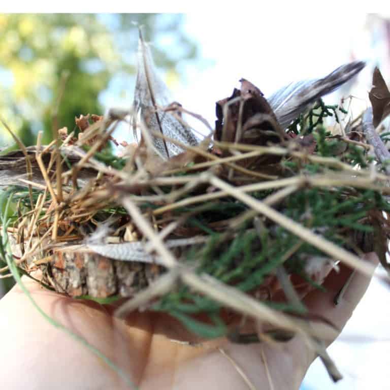Build a Nest STEM Challenge for Kids - Views From a Step Stool