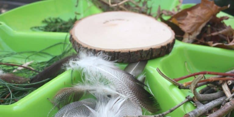 Build a Nest STEM Challenge for Kids - Views From a Step Stool