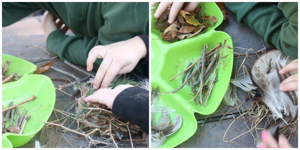 Build a Nest STEM Challenge for Kids - Views From a Step Stool