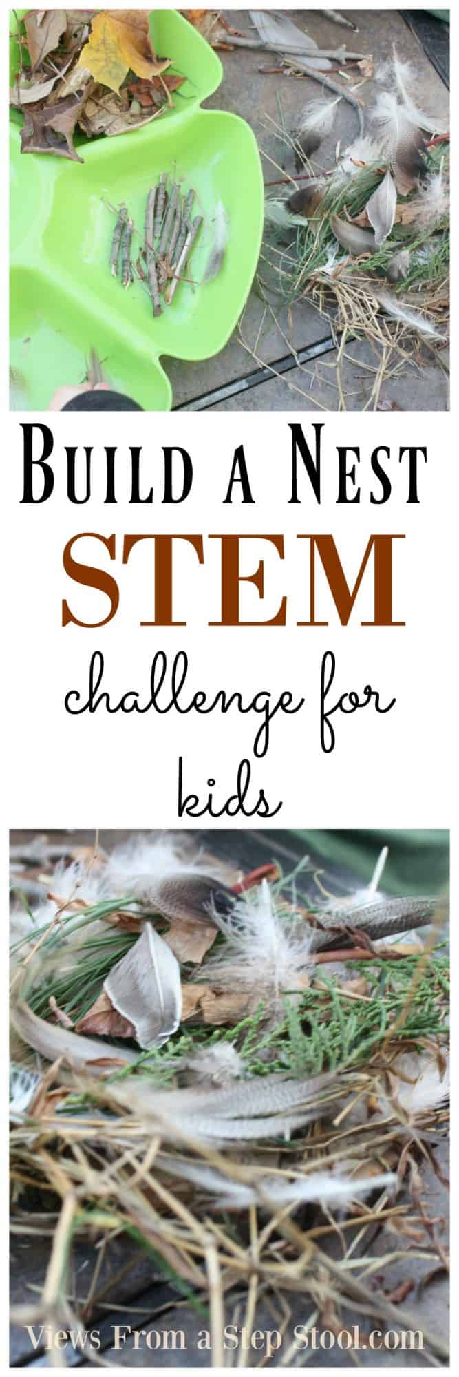 Build a Nest STEM Challenge for Kids - Views From a Step Stool