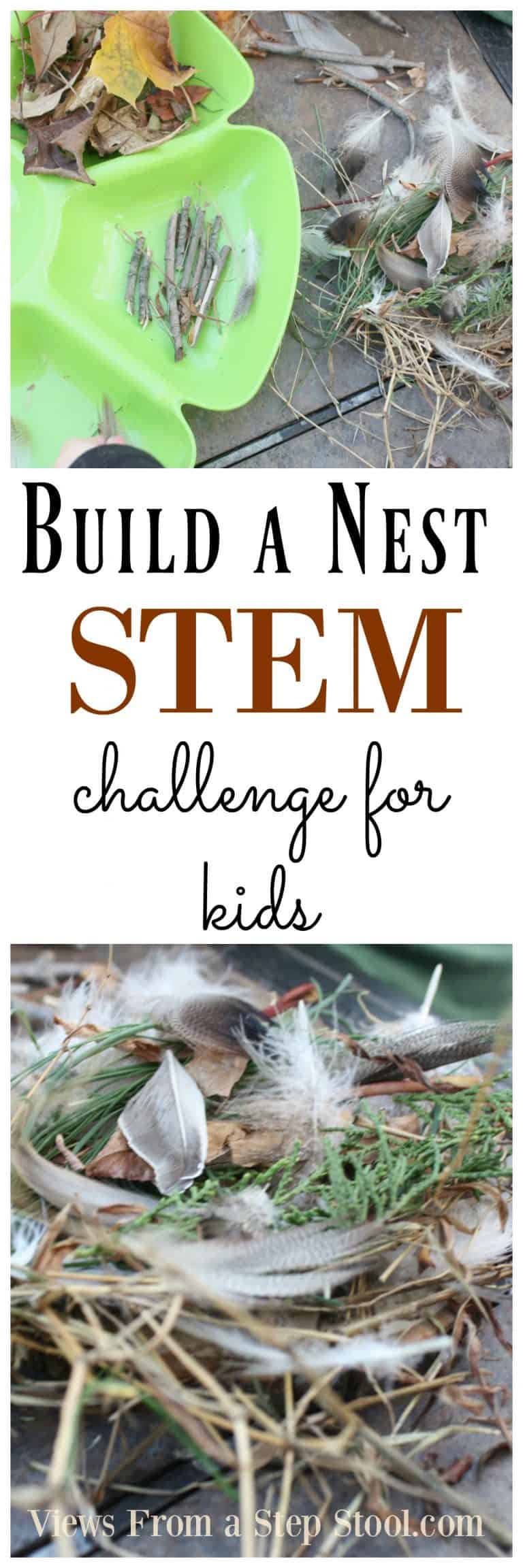 Build a Nest STEM Challenge for Kids - Views From a Step Stool