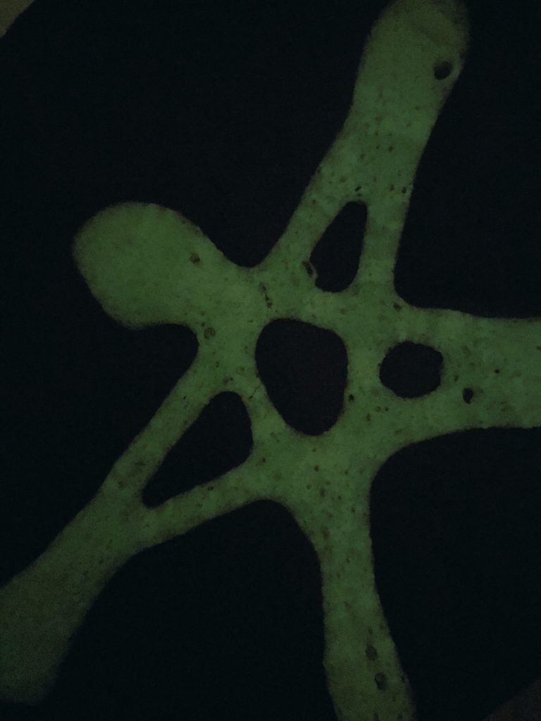 Puffy Paint Night Sky: A Glow in the Dark Toddler Art Activity