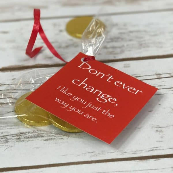 Chocolate Coin Valentines with Free Printable Tag