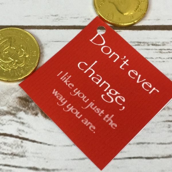 Chocolate Coin Valentines with Free Printable Tag