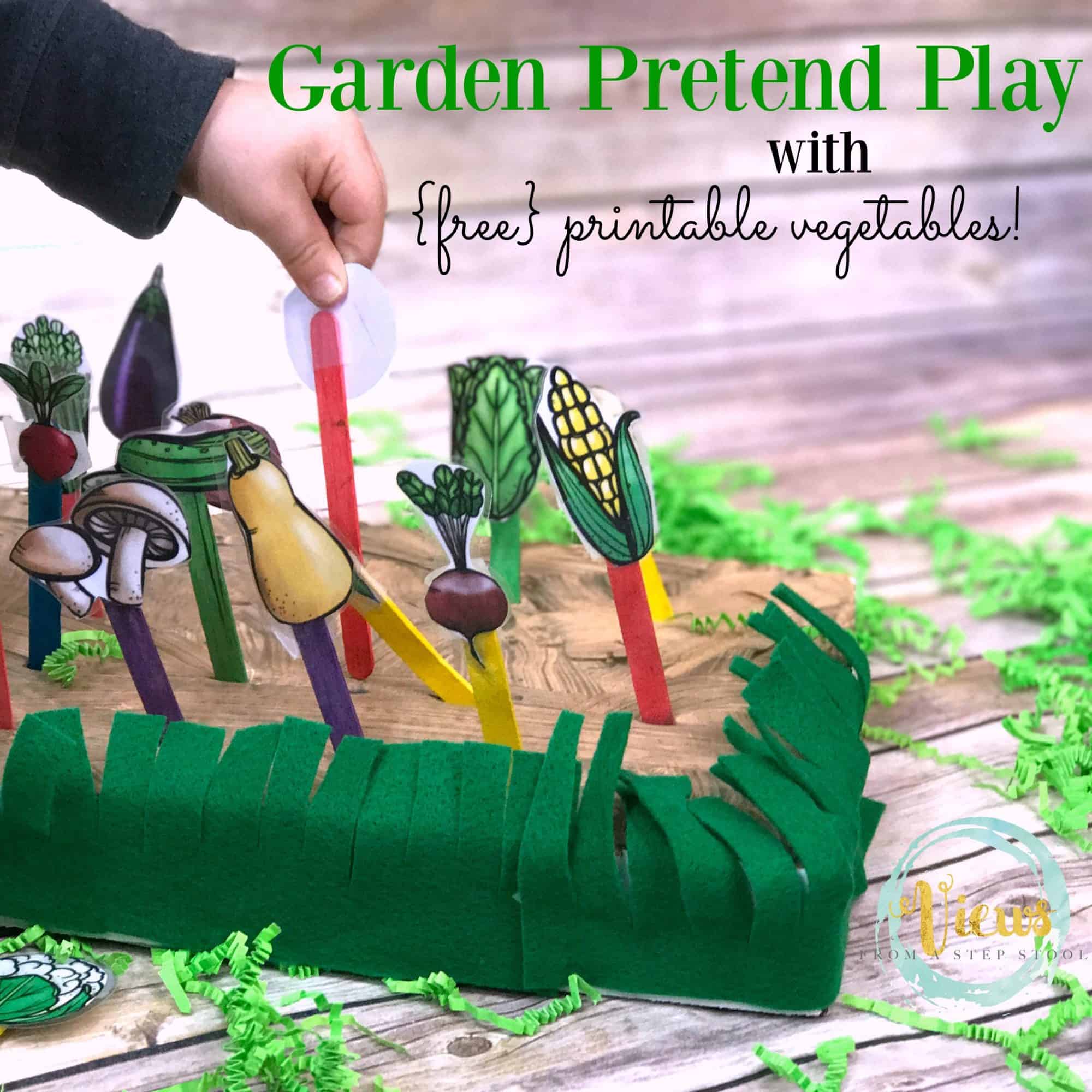 Garden Pretend Play Fine Motor Activity with Free Printable Vegetables