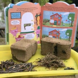 3 Little Pigs STEM Challenge - Views From a Step Stool