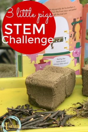 3 Little Pigs STEM Challenge - Views From a Step Stool