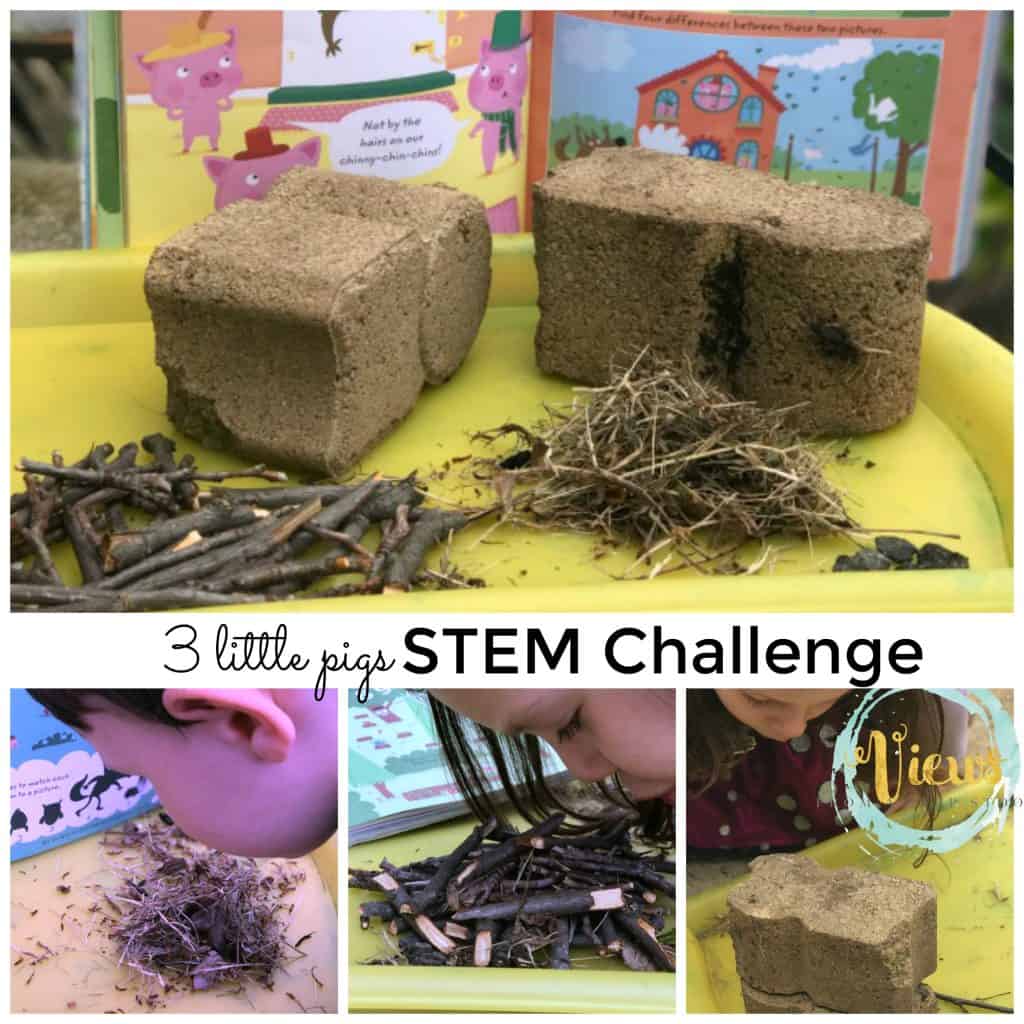 3 Little Pigs STEM Challenge - Views From a Step Stool
