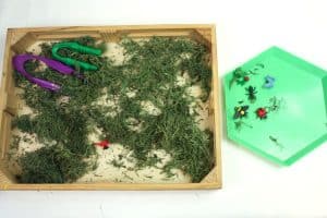 Fine Motor Bug Activity for Preschoolers - Views From a Step Stool