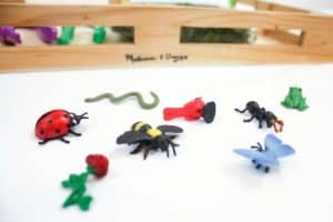 Fine Motor Bug Activity for Preschoolers - Views From a Step Stool