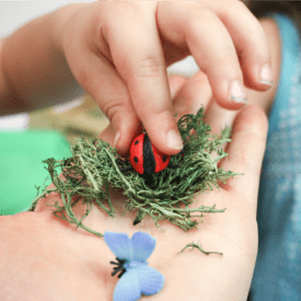 Fine Motor Bug Activity for Preschoolers - Views From a Step Stool