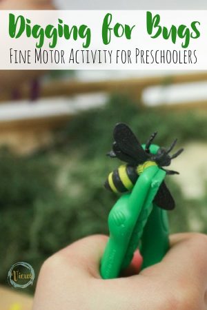Fine Motor Bug Activity for Preschoolers - Views From a Step Stool