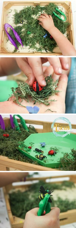 Fine Motor Bug Activity for Preschoolers - Views From a Step Stool