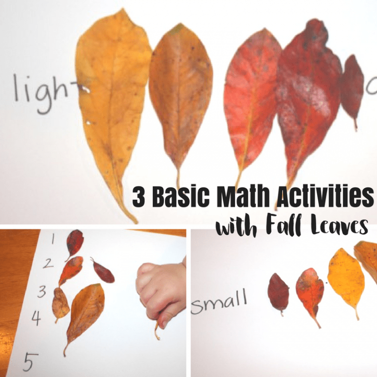 Basic Preschool Math with Fall Leaves - Views From a Step Stool