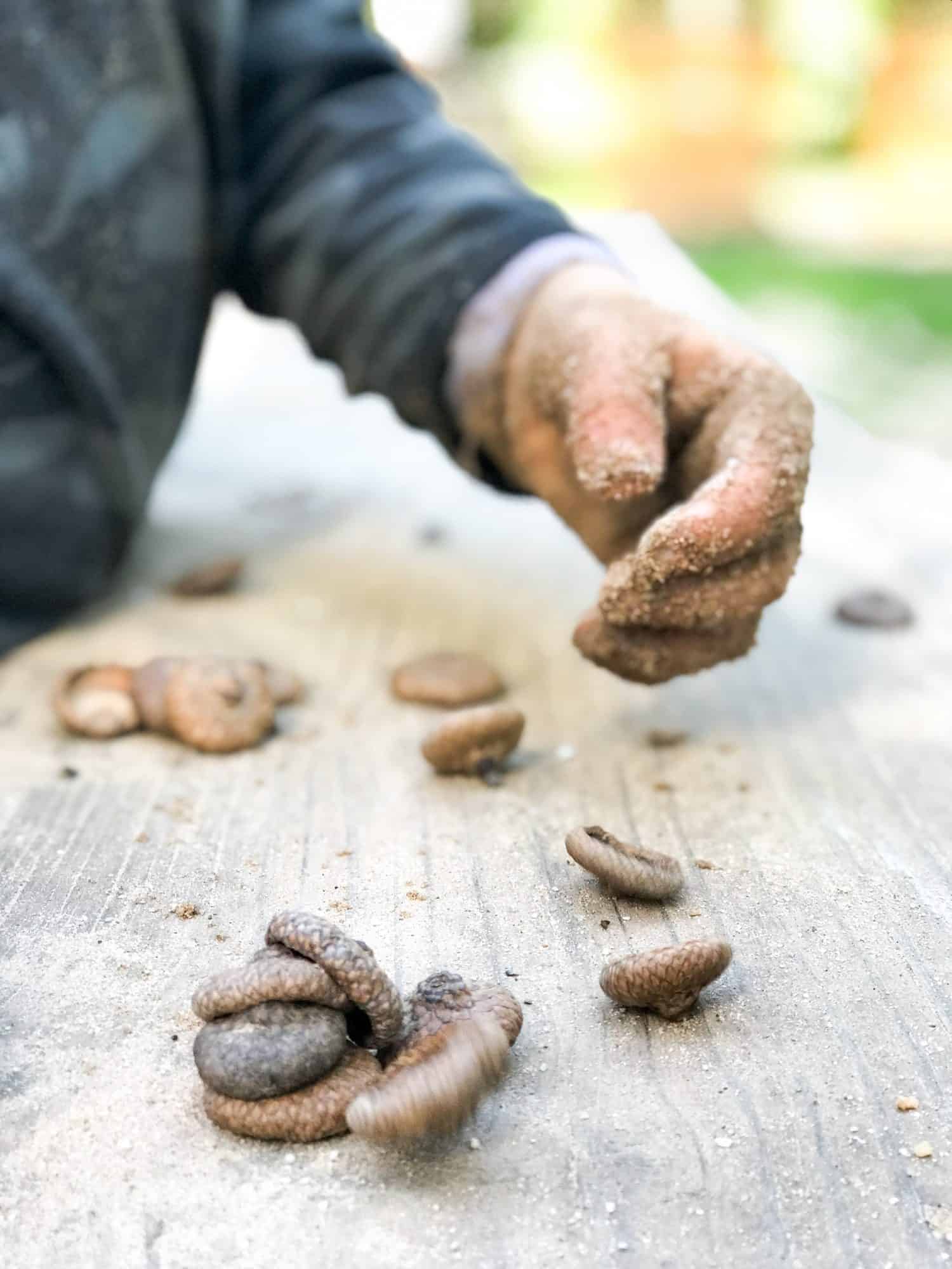 Acorn Balancing: Outdoor STEM Challenge for Kids - Views From a Step Stool