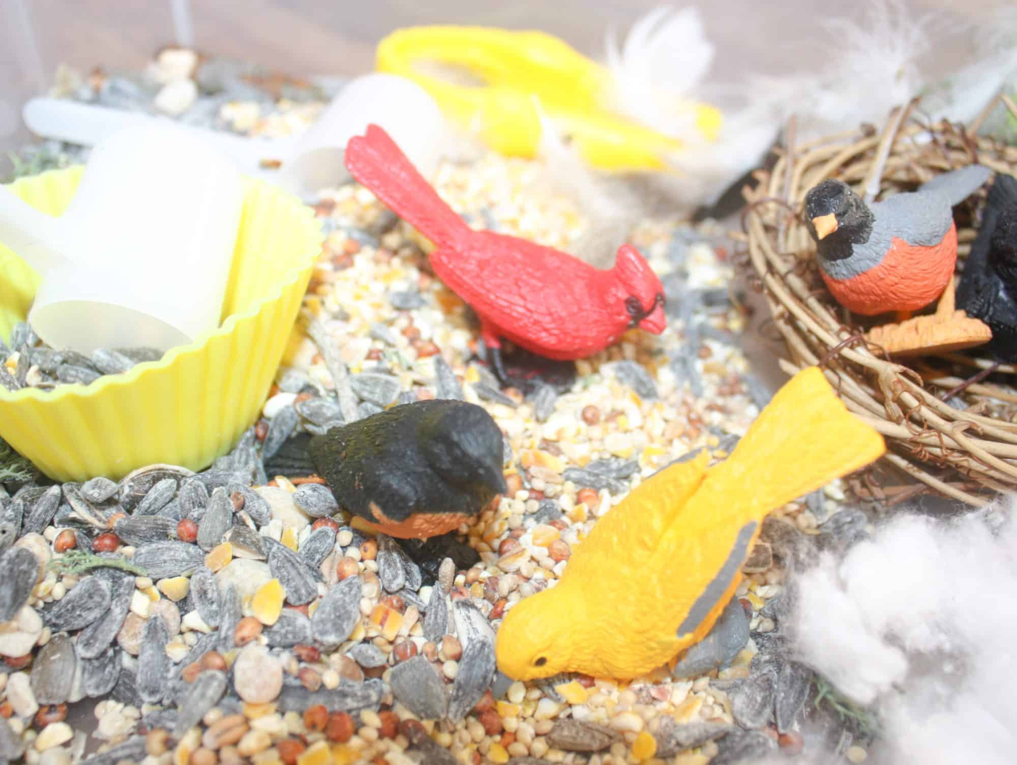 Bird Sensory Bin with a Nest Building Activity - Views From a Step Stool
