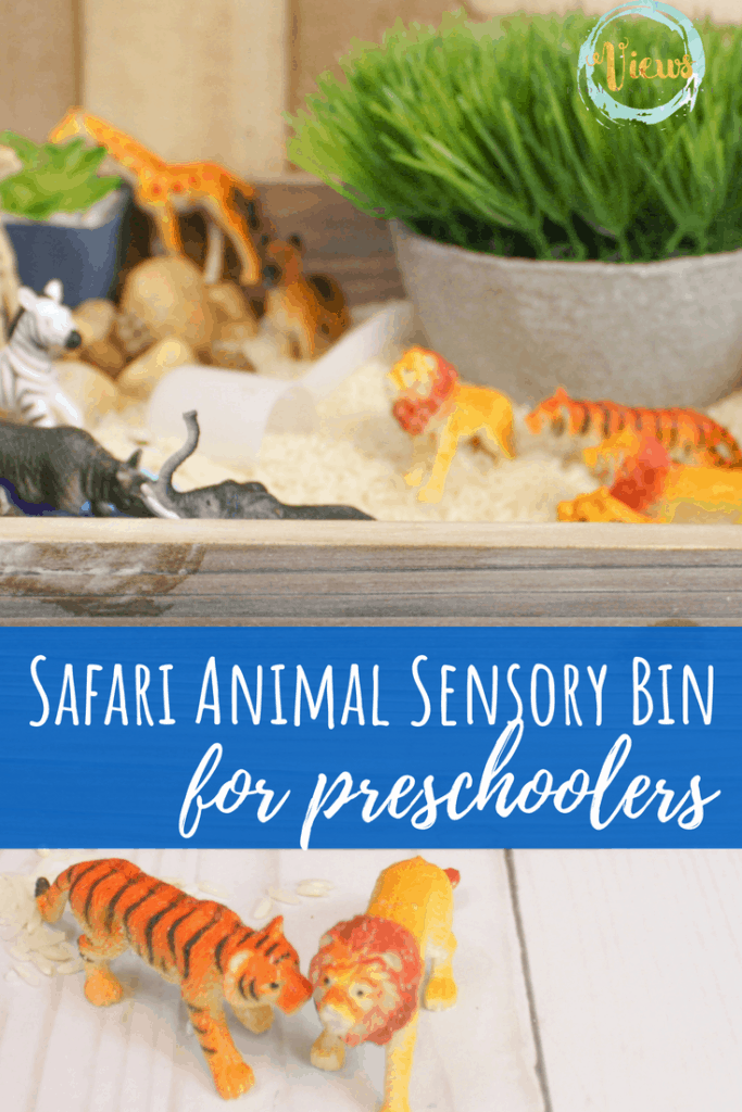 Safari Animal Sensory Bin with Rice - Views From a Step Stool