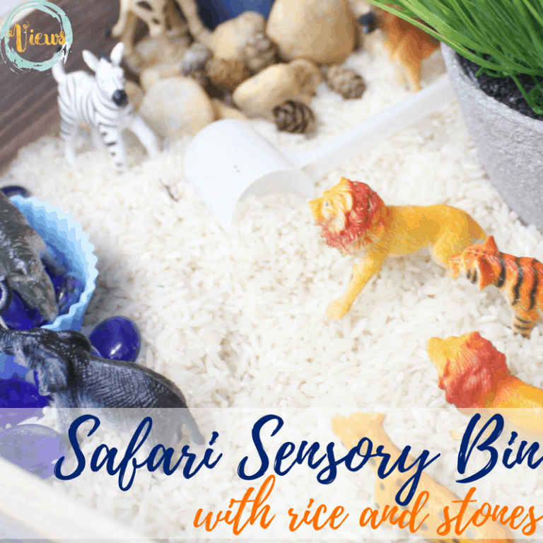 12 Animal Sensory Bin Ideas for Kids - Views From a Step Stool