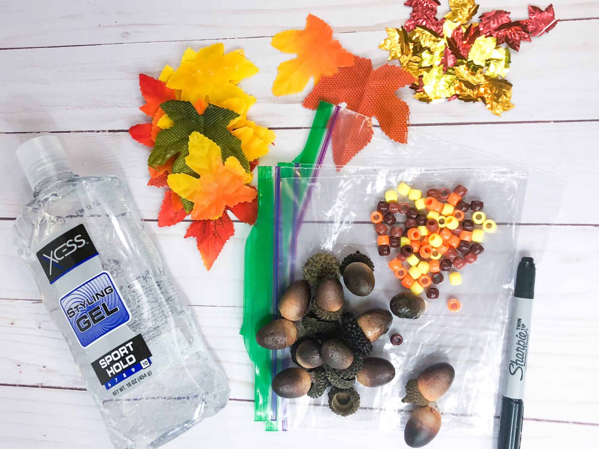 4 Fall Sensory Bags for Babies and Toddlers - Views From a Step Stool