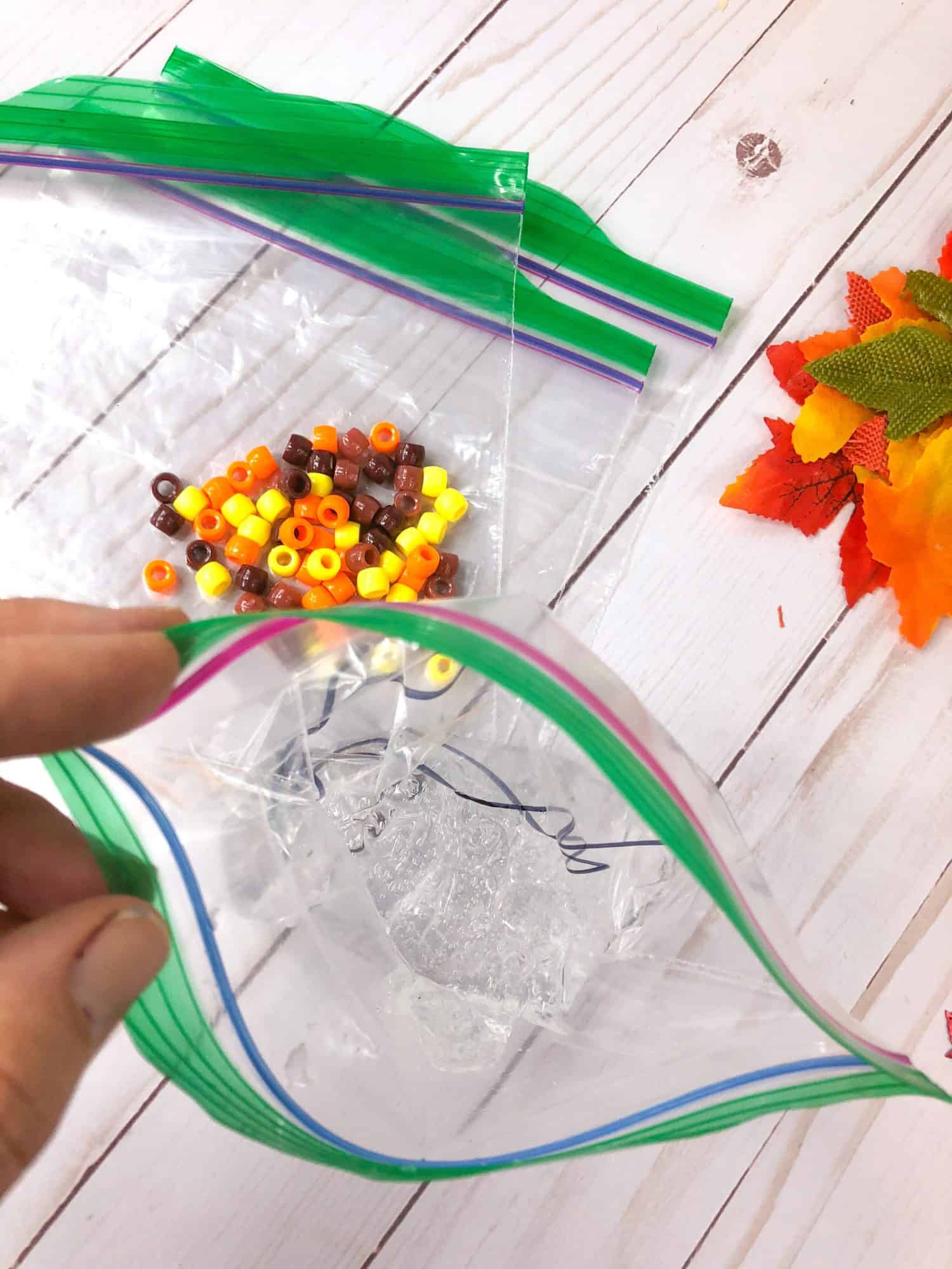 4 Fall Sensory Bags for Babies and Toddlers - Views From a Step Stool