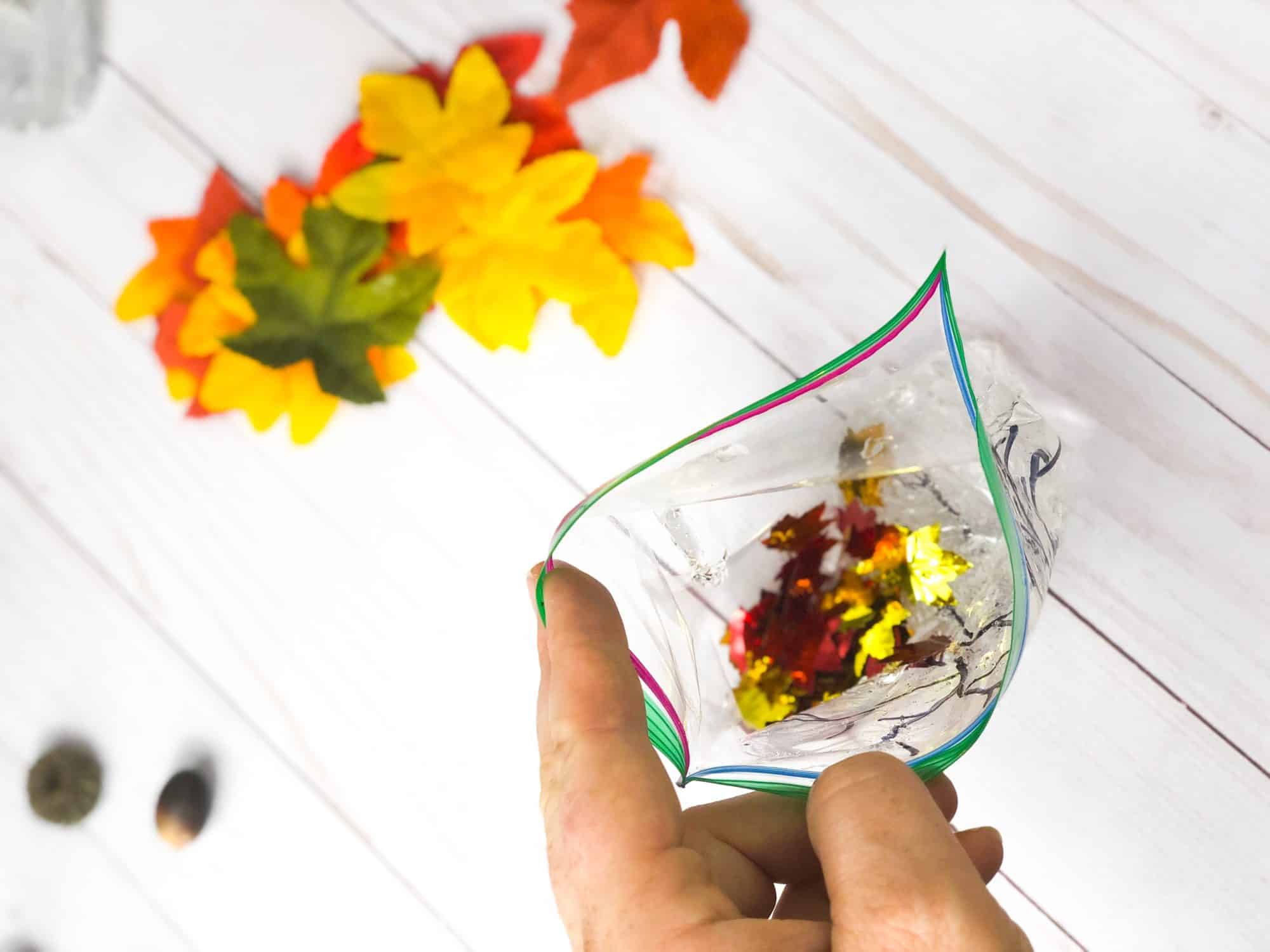 4 Fall Sensory Bags for Babies and Toddlers - Views From a Step Stool