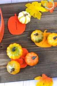 Pumpkin Sensory Bin with Modifications by Age - Views From a Step Stool