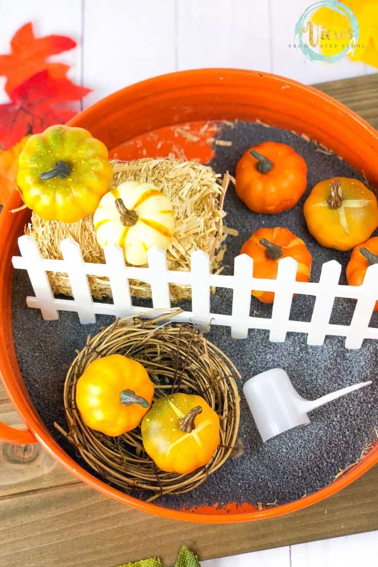 Pumpkin Sensory Bin with Modifications by Age - Views From a Step Stool