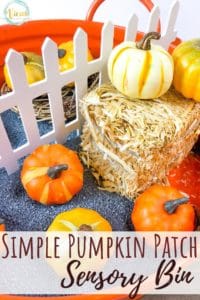 Pumpkin Sensory Bin with Modifications by Age - Views From a Step Stool
