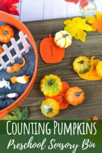 Pumpkin Sensory Bin with Modifications by Age - Views From a Step Stool
