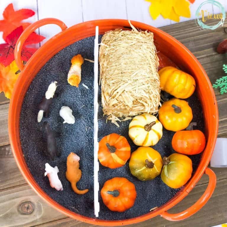 Pumpkin Sensory Bin with Modifications by Age - Views From a Step Stool