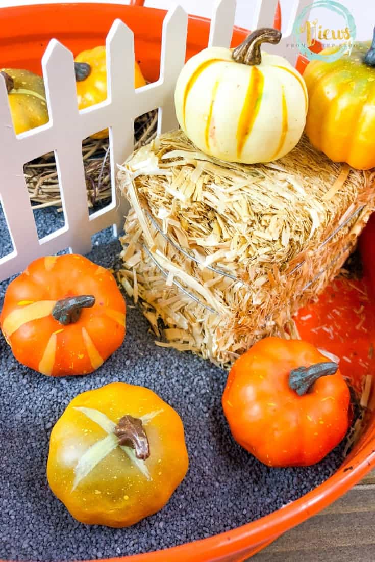 Pumpkin Sensory Bin with Modifications by Age - Views From a Step Stool
