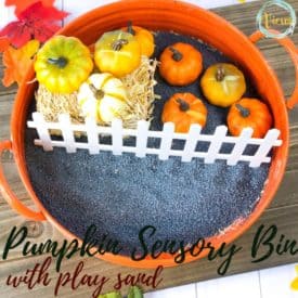 Pumpkin Sensory Bin with Modifications by Age - Views From a Step Stool