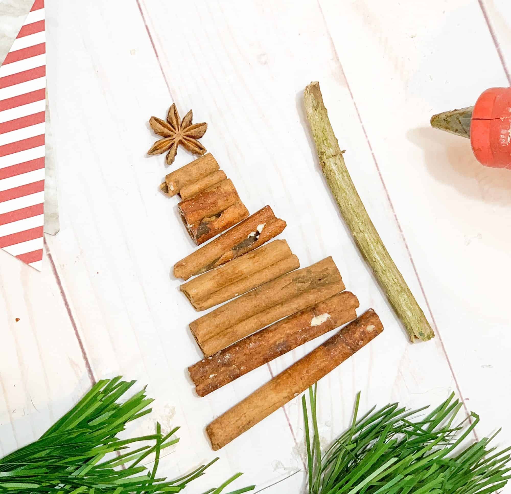 DIY Cinnamon Stick Ornament - Views From a Step Stool