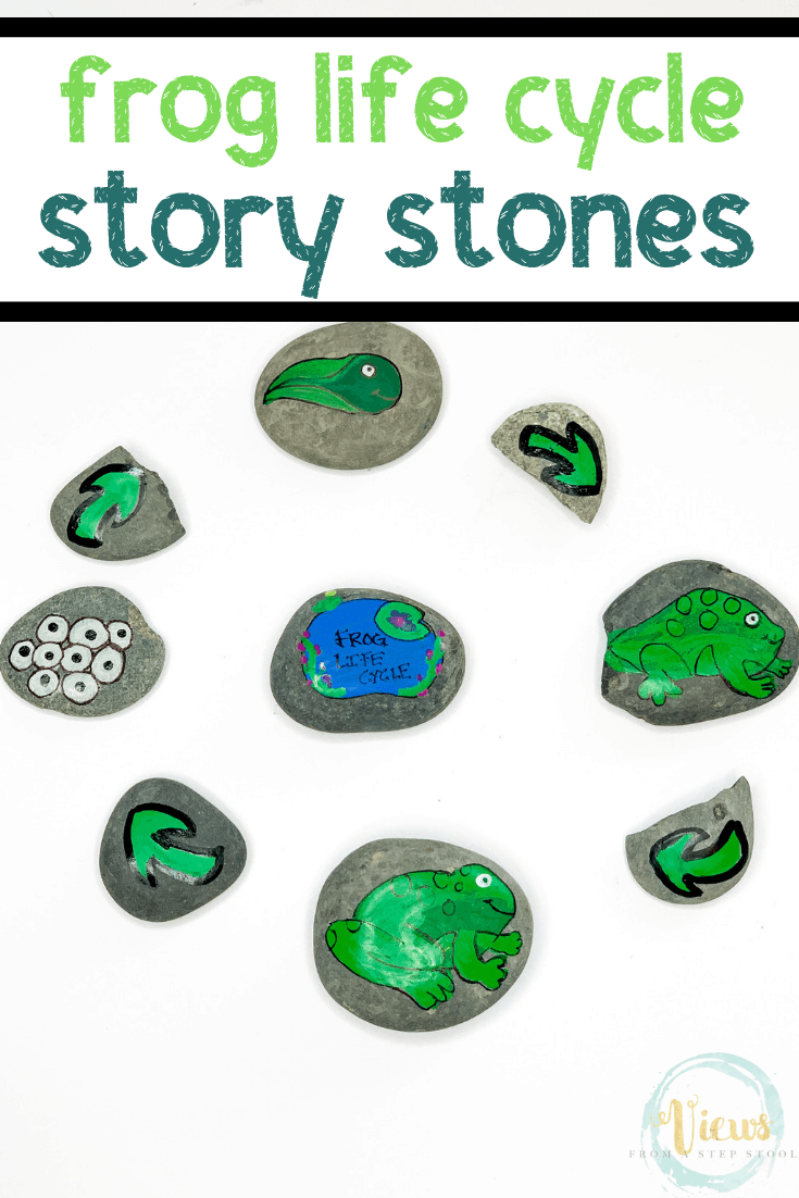 Frog Life Cycle Printable Board Game - Views From a Step Stool