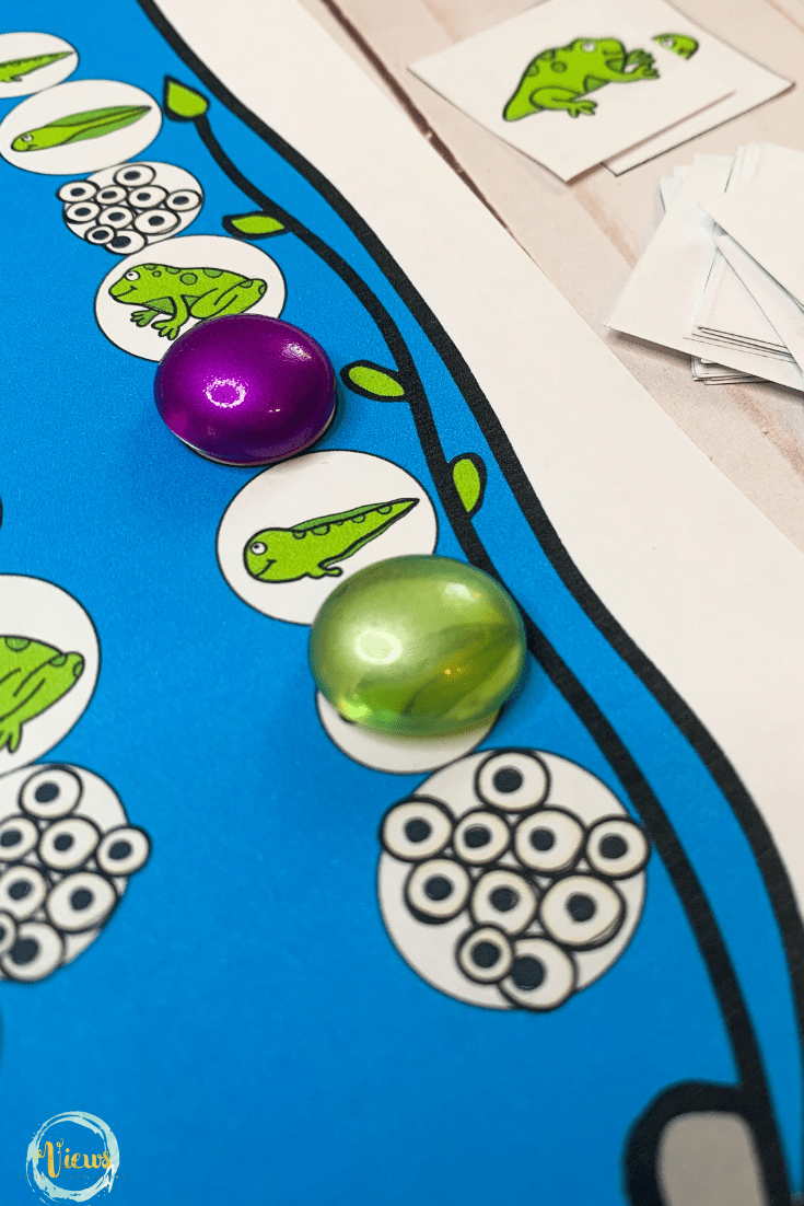 Frog Life Cycle Printable Board Game - Views From a Step Stool