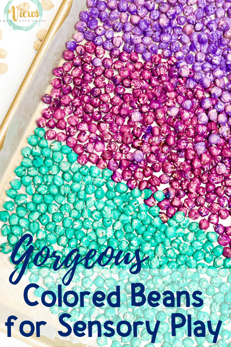 DIY Colored Beans for Sensory Activities - Views From a Step Stool