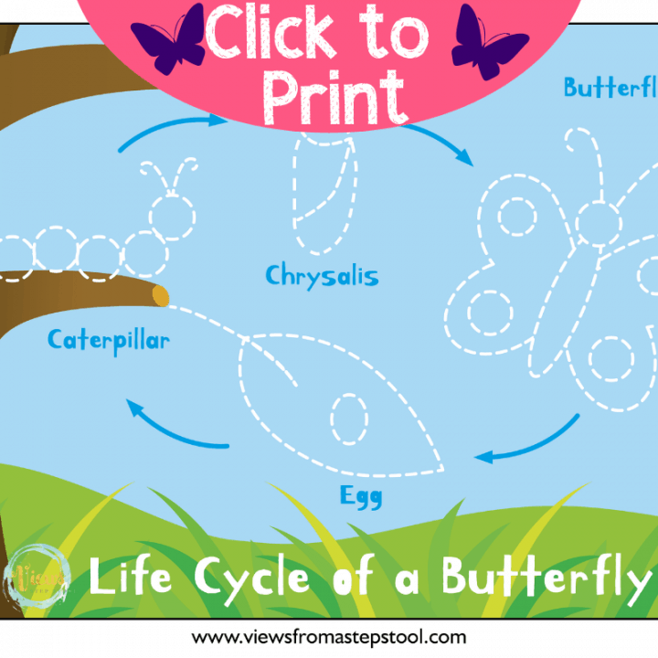 Life Cycle of a Butterfly Playdough Mat - Free Printable - Views From a ...