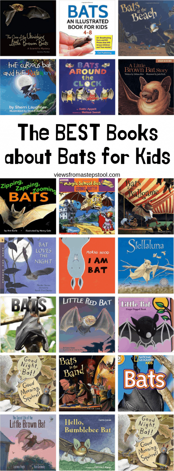 20+ Bat Books for Kids to Read in the Fall - Views From a Step Stool