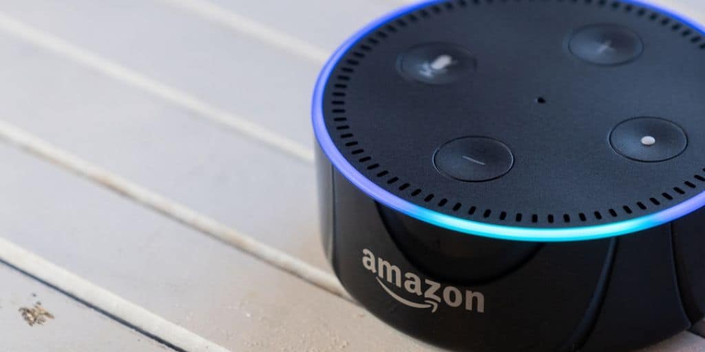 Amazon Alexa Skills for Kids + Free Printable Cheat Sheet - Views From a Step Stool