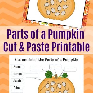 Fall Printables for Kids - Views From a Step Stool