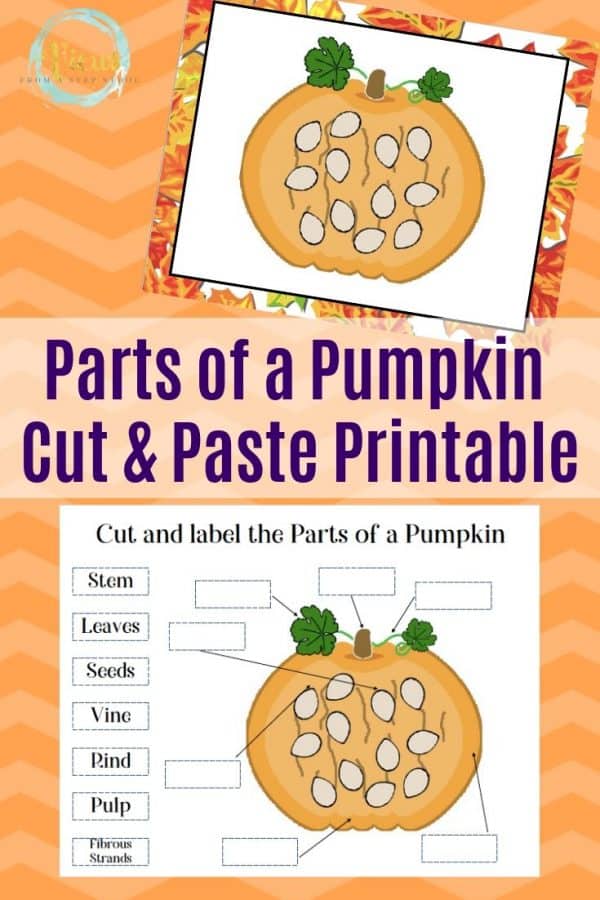 Pumpkin Activities for Kids: Crafts, Science and Sensory Play - Views ...
