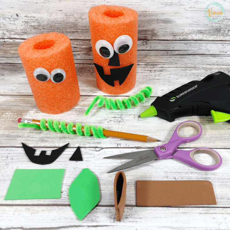 Halloween Pool Noodle Craft: Spider, Bat & Jack o' Lantern - Views From ...